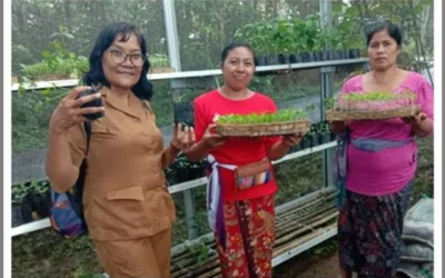 Penutup – Desa Bener | Kab. Cilacap